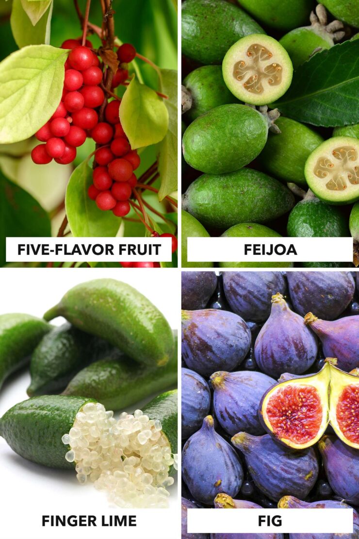 21 Fruits That Start with F - Smoothies and Shakes